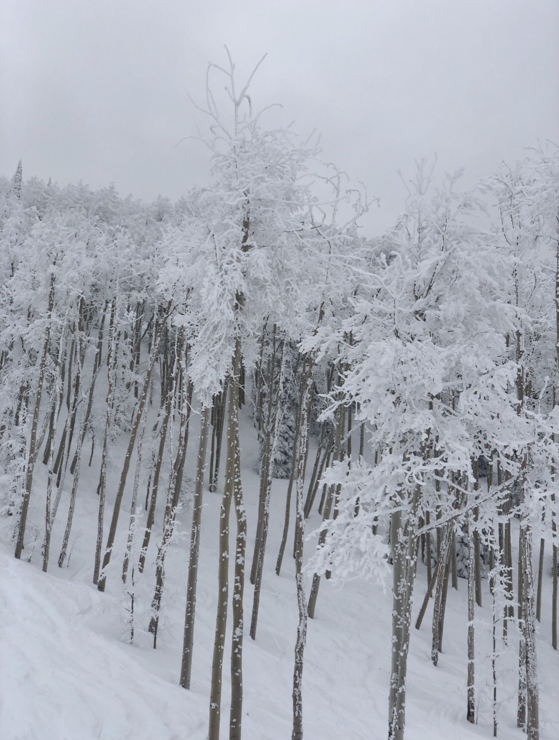 Grand Junction Winter Outdoor Activities - King Homes and Land Realty